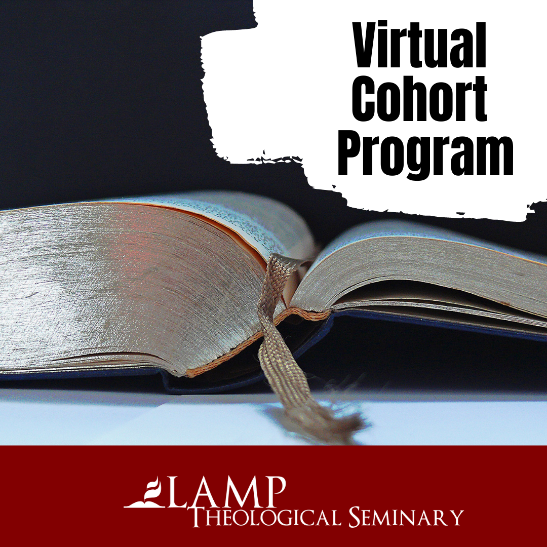 Virtual Cohort Program